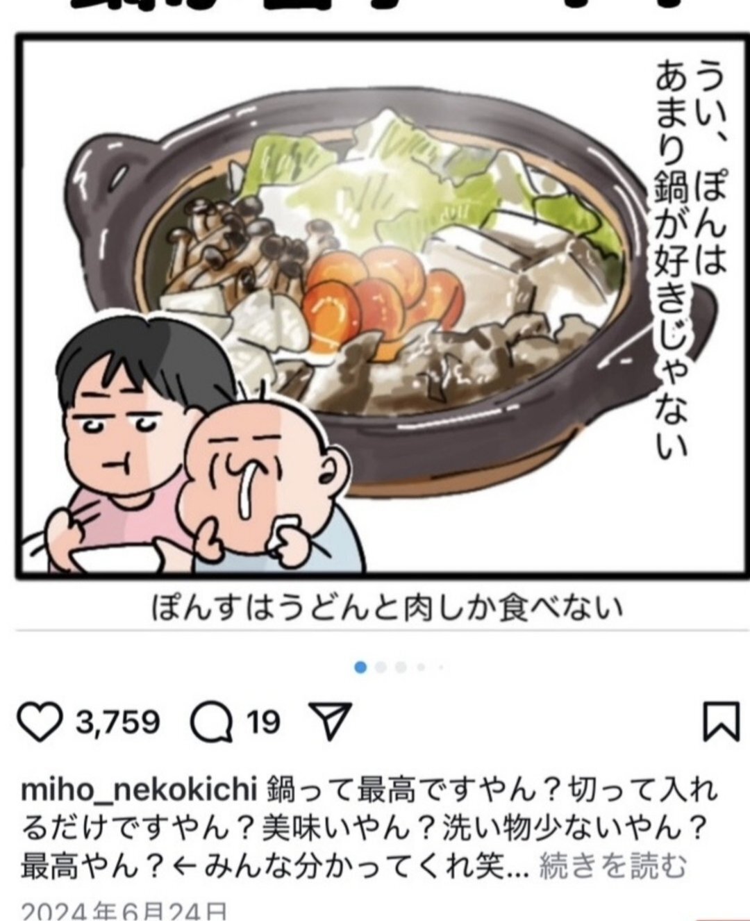 ビーフシチュー、鍋 トレパク｜ねこきち みほmiho_nekokichiさん トレパク検証まとめ