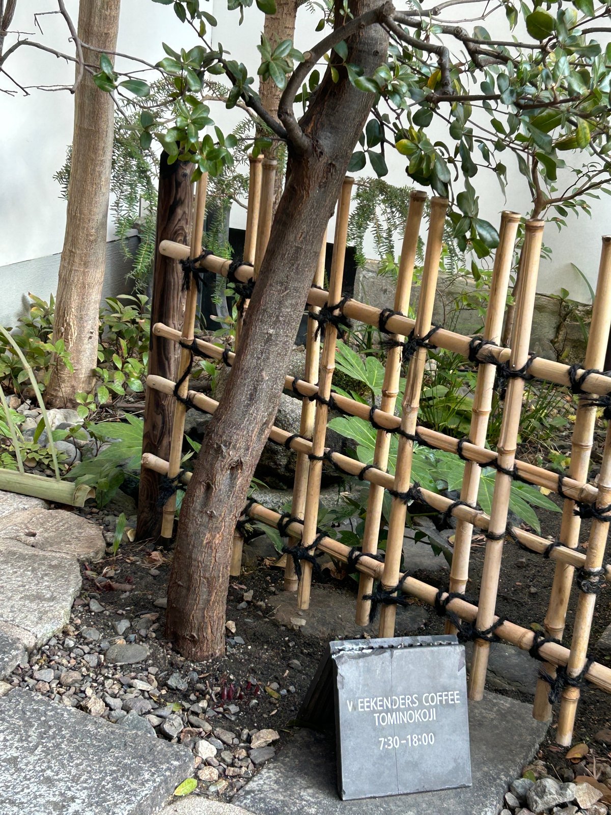 2025.2.18 朝RUNからの移動日｜Taku.Takemura