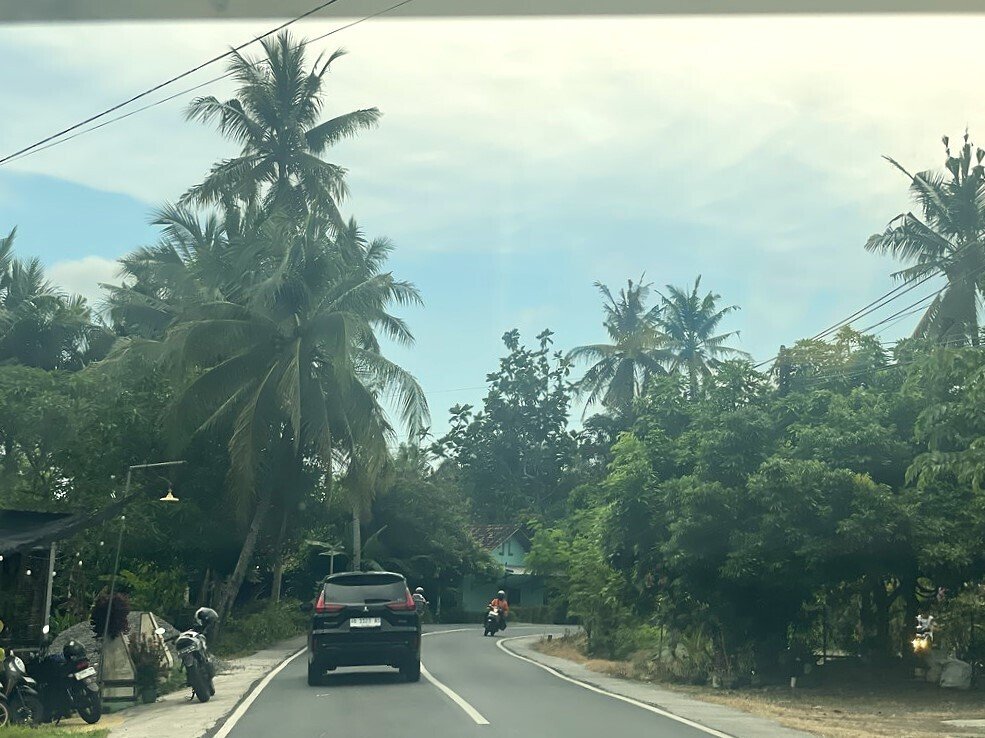 ハロー、南半球！｜Yas Hig