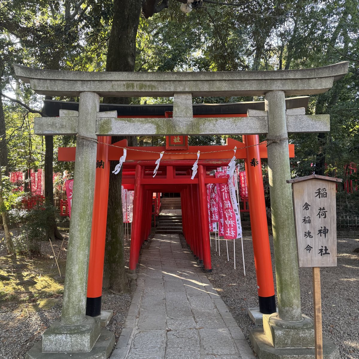 ヒーラーの心と体を整える 〜氷川神社で感じた癒しの力〜｜ヒーリングサロン HOOLOLI（ホーロリ）稲月シロ | 魂の旅を綴るヒーラー/占い師