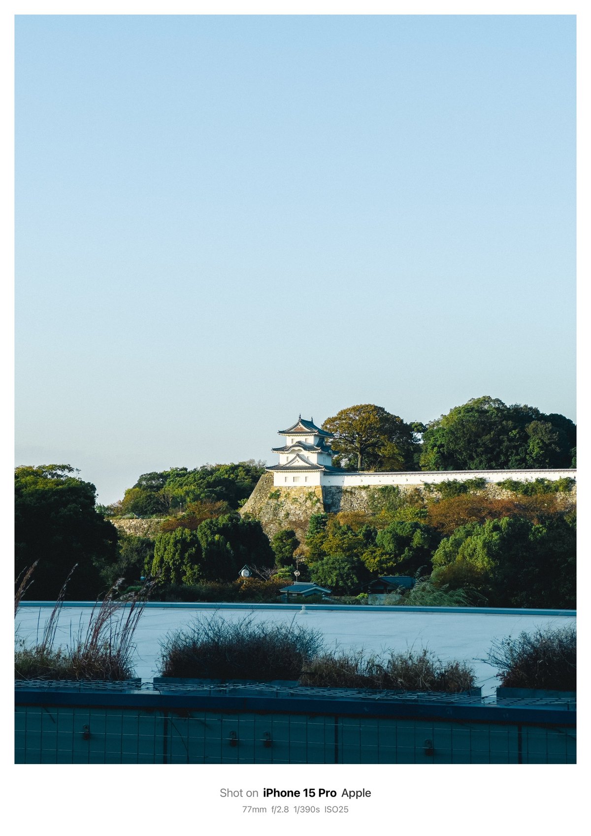 iPhoneこそ最強のスナップシューター。｜Rintaro Shimada