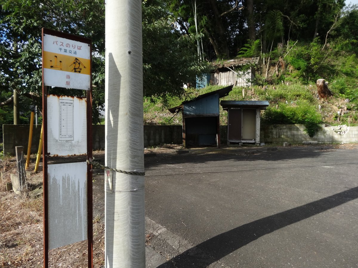 千葉交通 山倉｜Wakaba Mark2