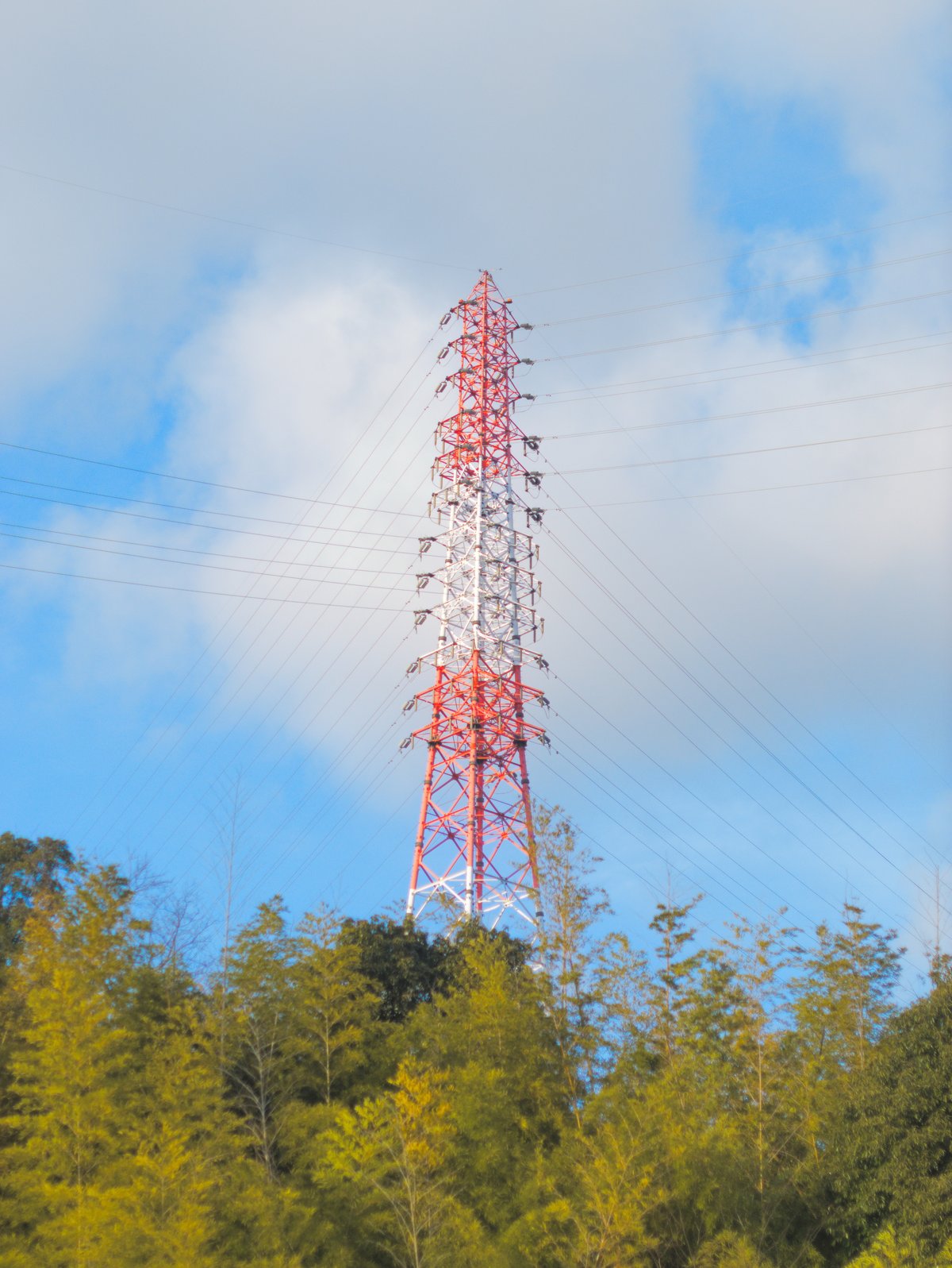 淡さは1.4｜たなだ