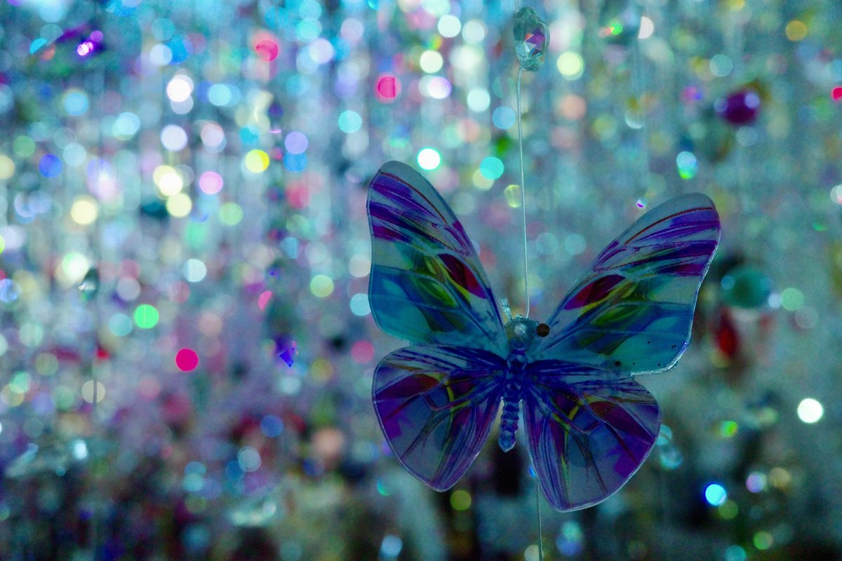 全てはたった1回きりの人生のために｜Yudai Koresawa