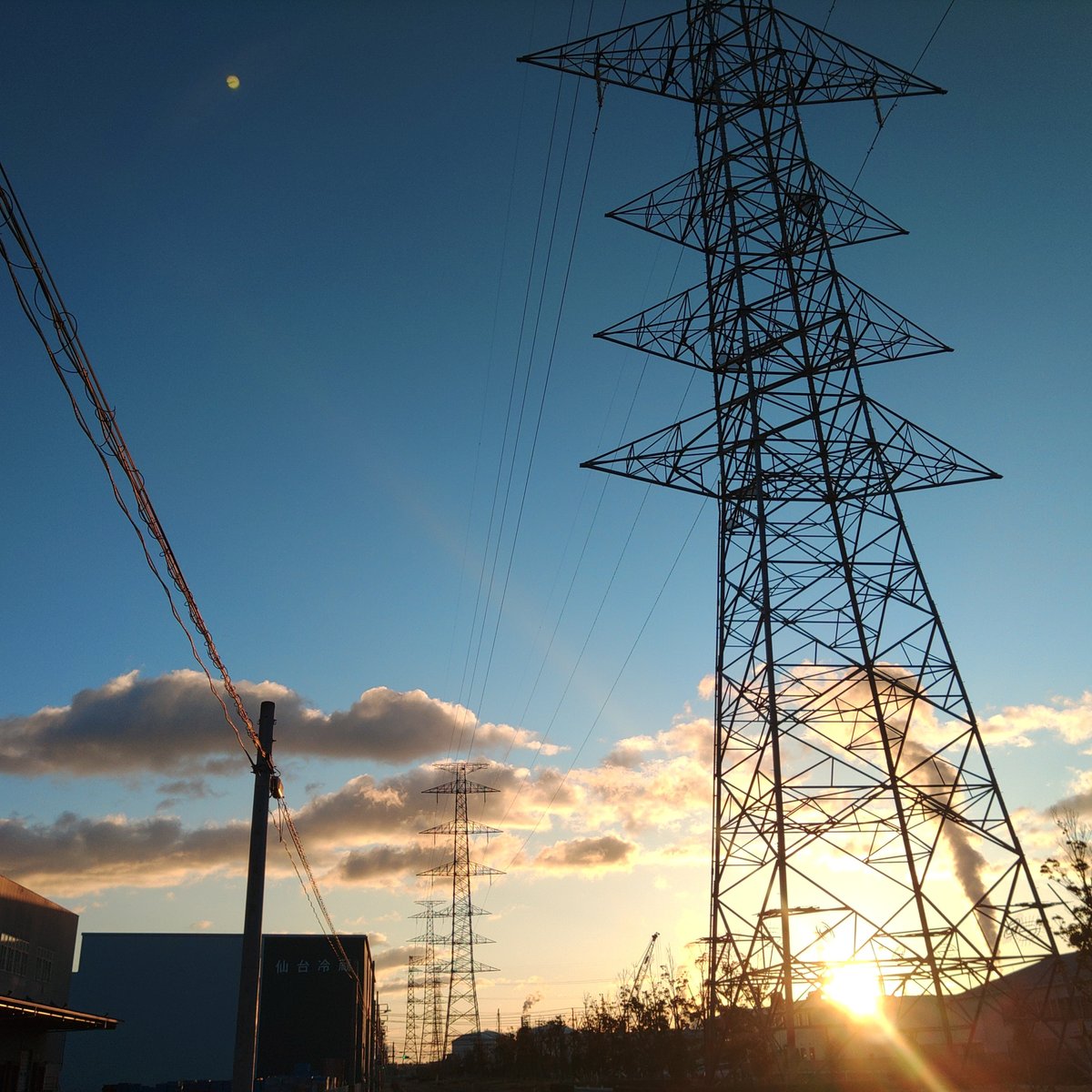 最愛の人へ お散歩日記＃35｜Shinya Sato