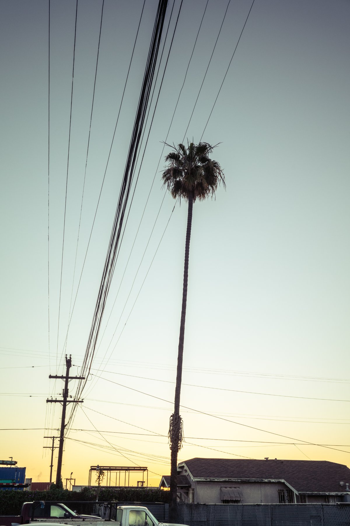 Wilmingtonでフォトウォーク -1｜MOJA MOJA