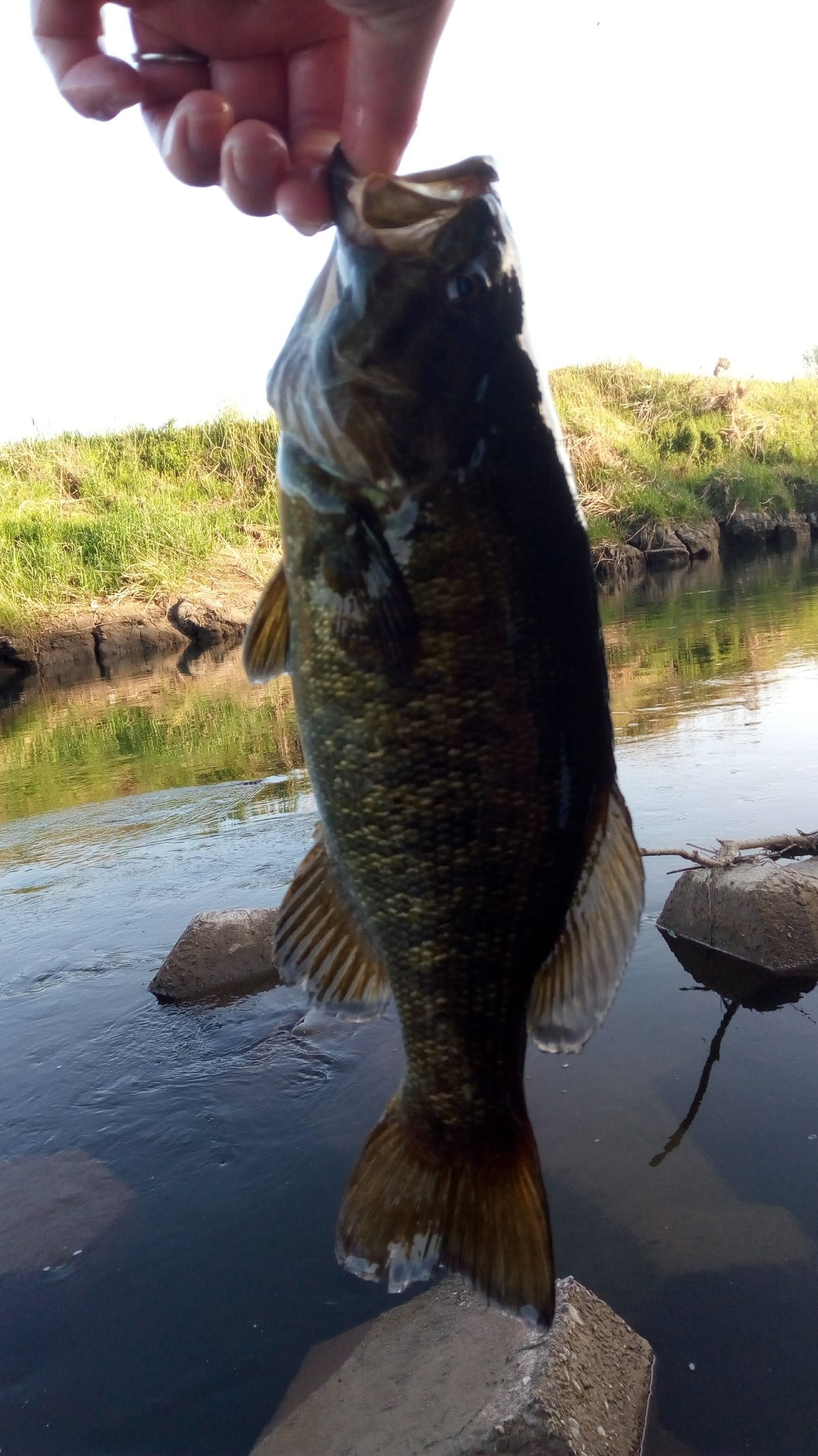 Making Bite & Shuffle #9: “渦まく知識”｜Bite&shuffle