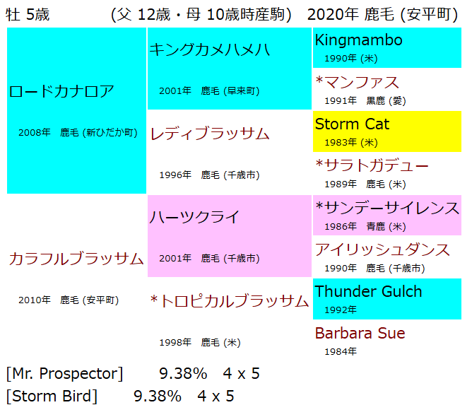 【AI分析】フェブラリーS・レース回顧（2025）｜VRS18🐴