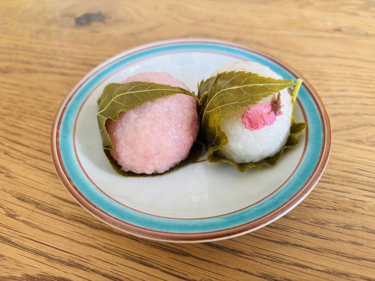 大人になったのだ｜のりしお_FP1