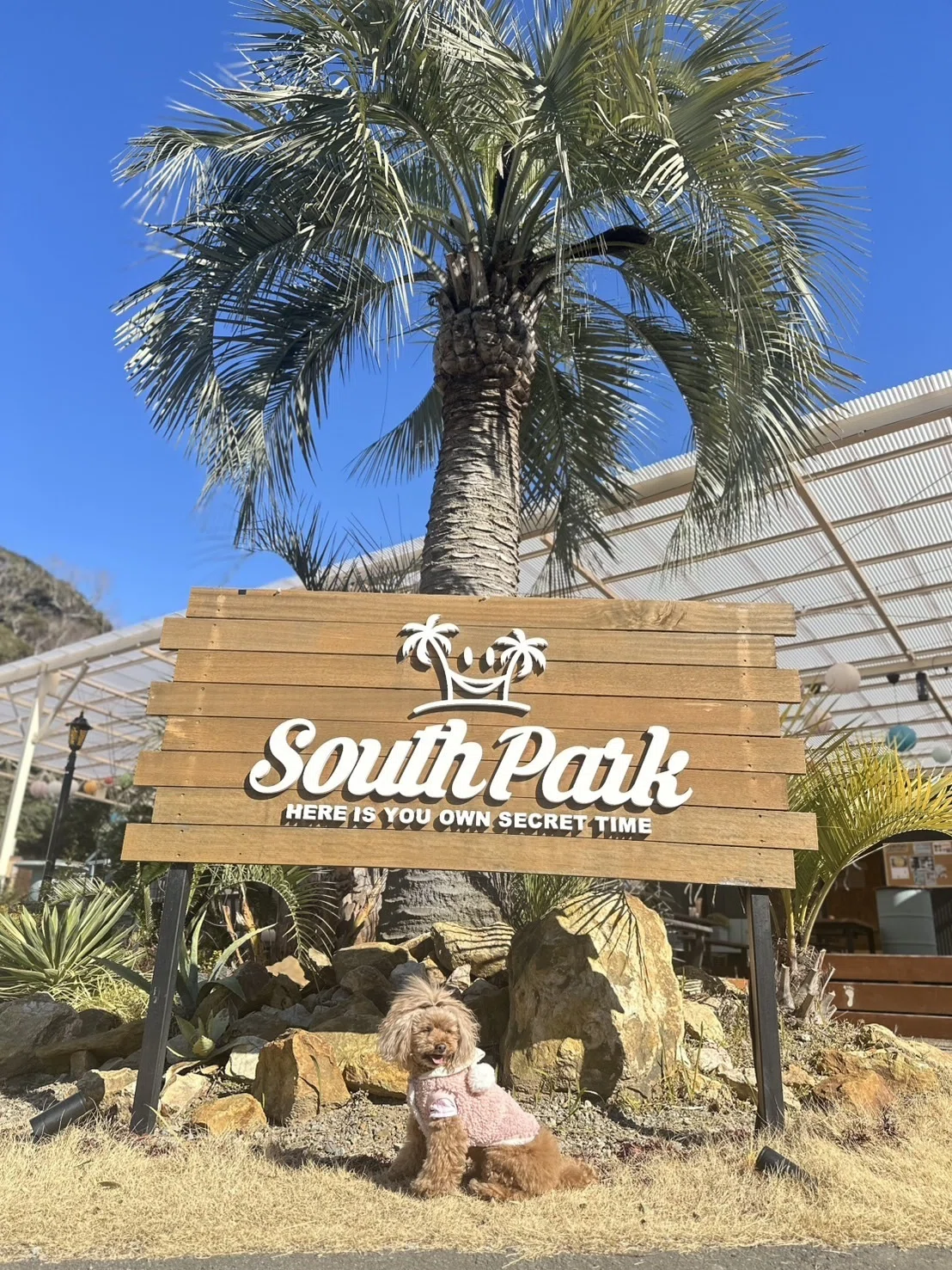 犬を連れて楽しめるコンテナハウスとドッグラン（千葉市若葉区）@Sourth Park｜HAYA