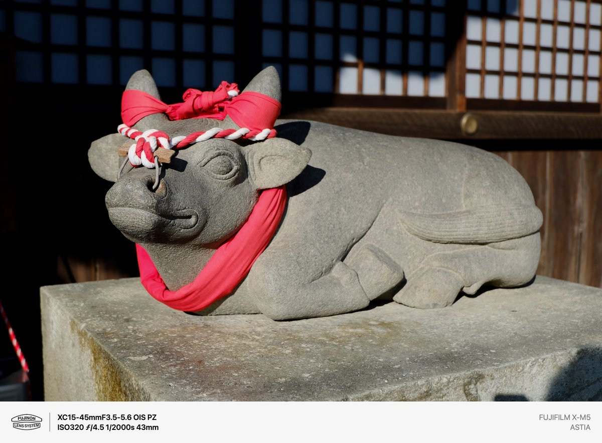 XC50-230 F4.5-6.7 OIS II レビュー｜Kenichi Masuo