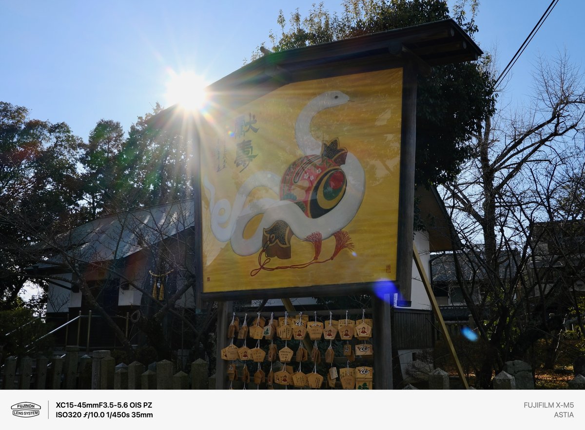 XC50-230 F4.5-6.7 OIS II レビュー｜Kenichi Masuo