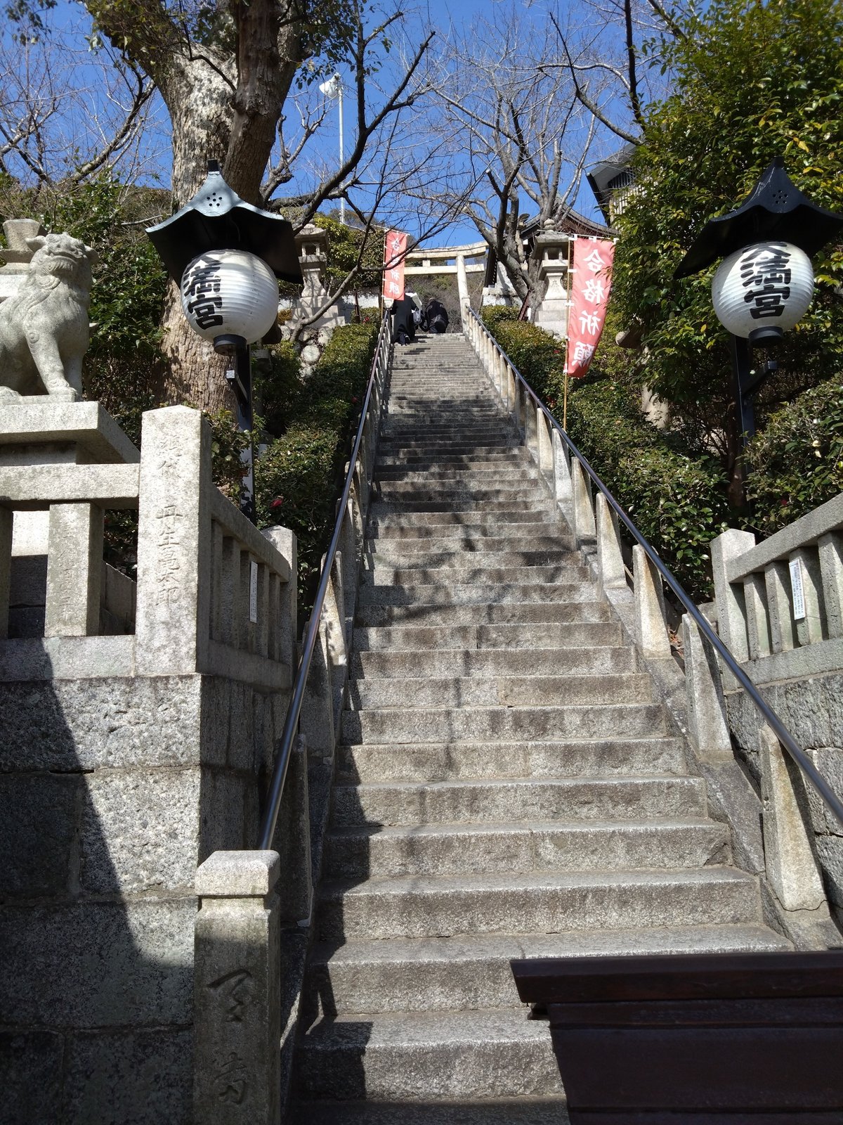 冬を閉じ、春を招く花々｜川瀬流水