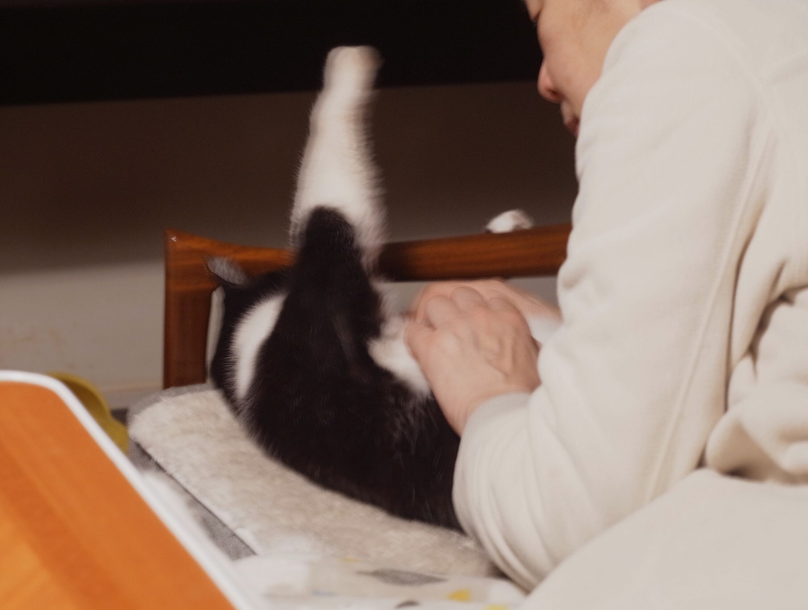 写真「猫百態」・・・痒いーの｜Rabi Sato