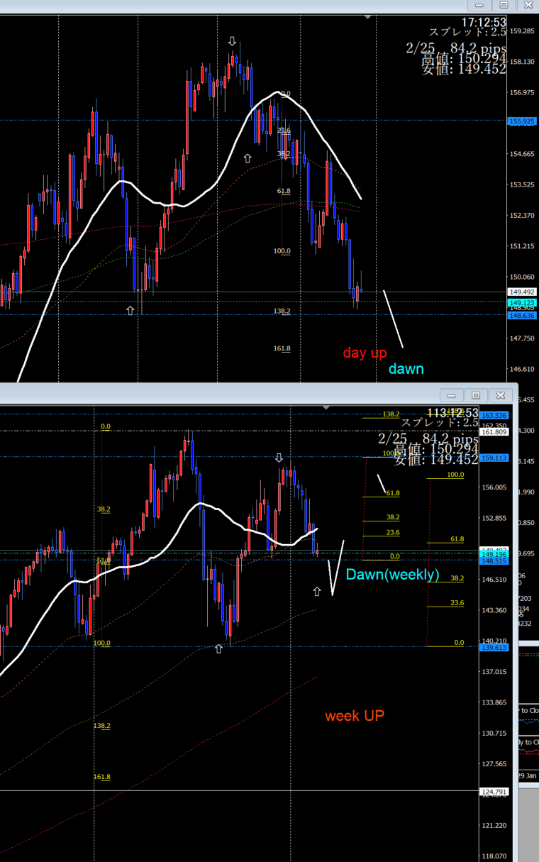 引き続き148.500を割るサイクル 2/25(火)今週のシナリオ TKのトレード日誌｜🌴TK🌴個人トレーダー