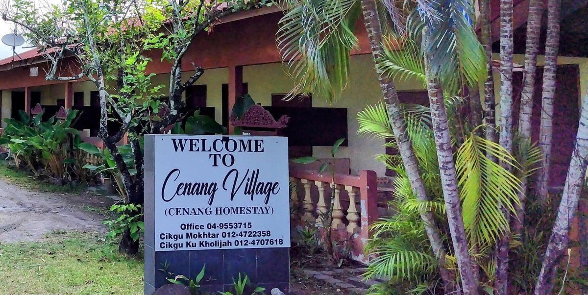 森のエネルギーが流れ込む不思議空間 ランカウイ2025/Vol.4｜webkio