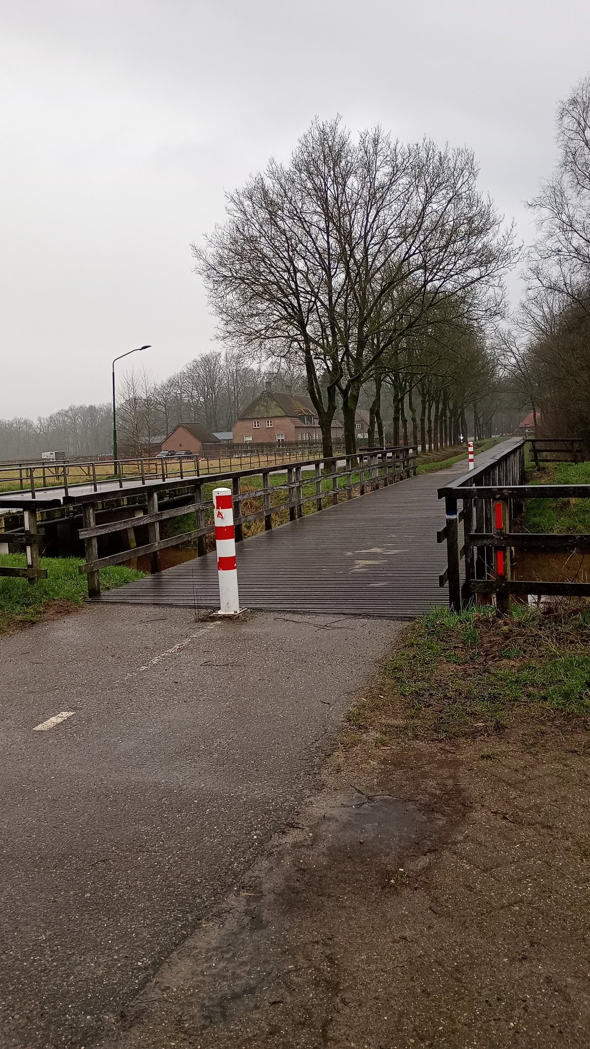 Day8 オランダ滞在日記 2025.02.12 シクロクロス｜池本 真也