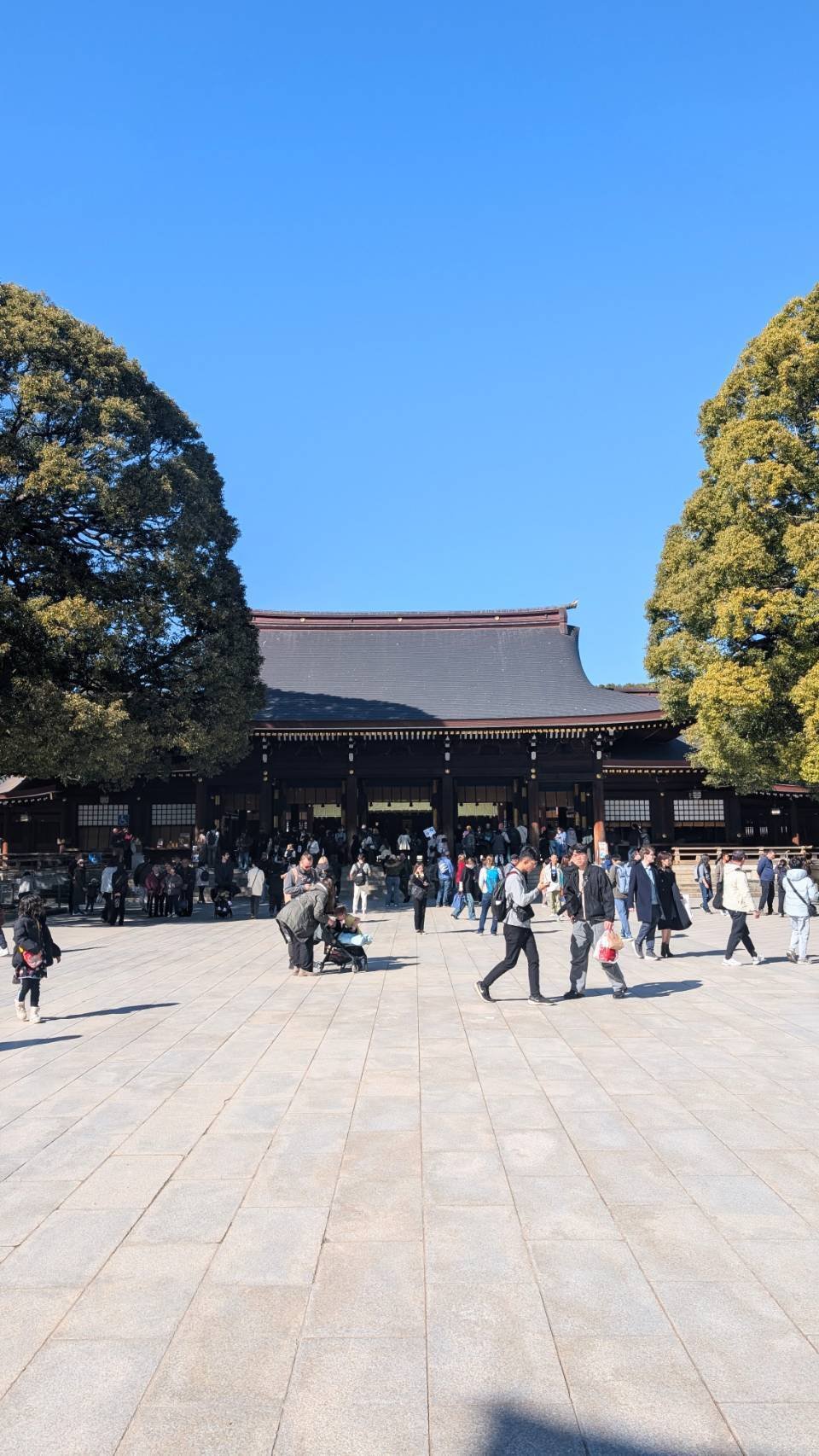 明治神宮｜ayano