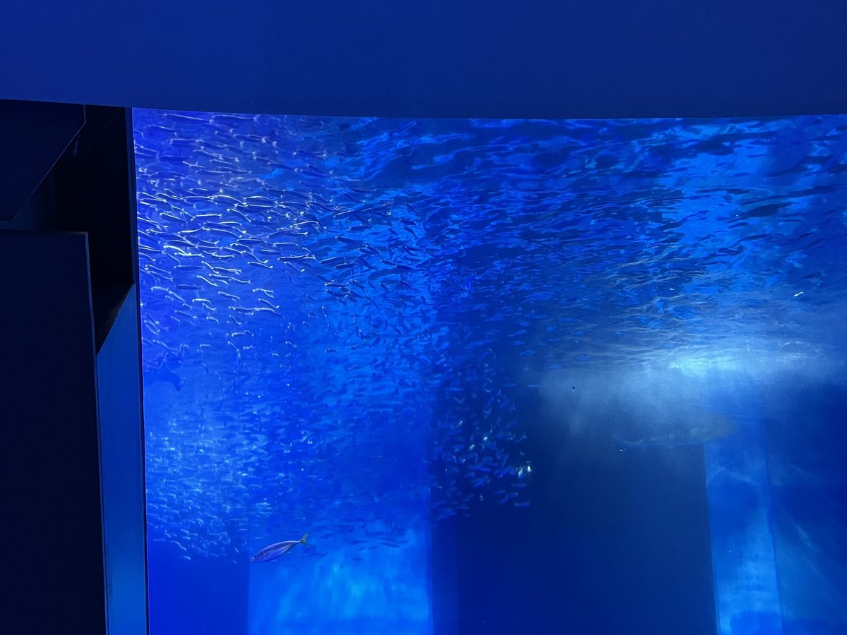 愛にあふれるシーパラSideMコラボに行って315に楽しんだ話｜なと