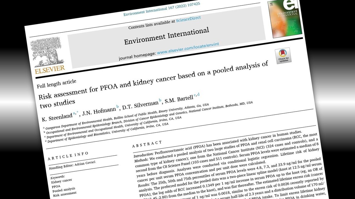 【写真】差し替えられた「最重要」論文とは｜SlowNews 写真