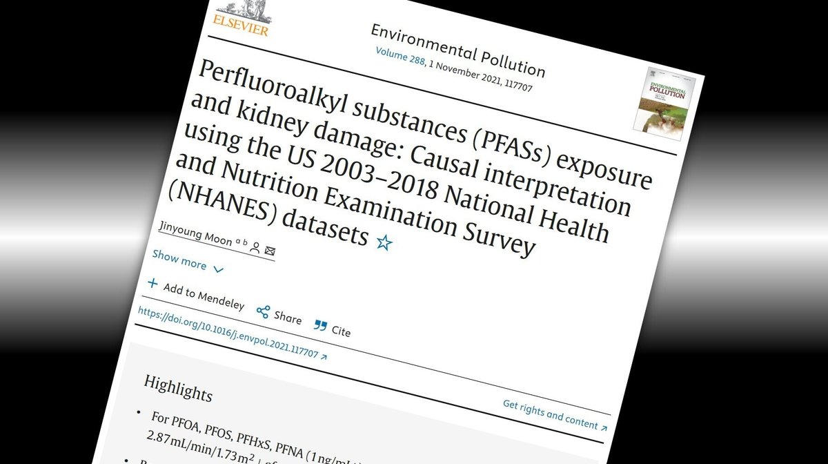【写真】差し替えられた「最重要」論文とは｜SlowNews 写真