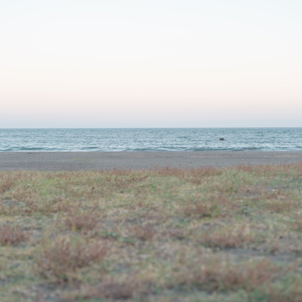 フォークロアな音楽・新しい室内楽② Allaudin Mathieu - ジャズ、クラシック、インド古典音楽を統合した透明な音楽｜成田佳洋