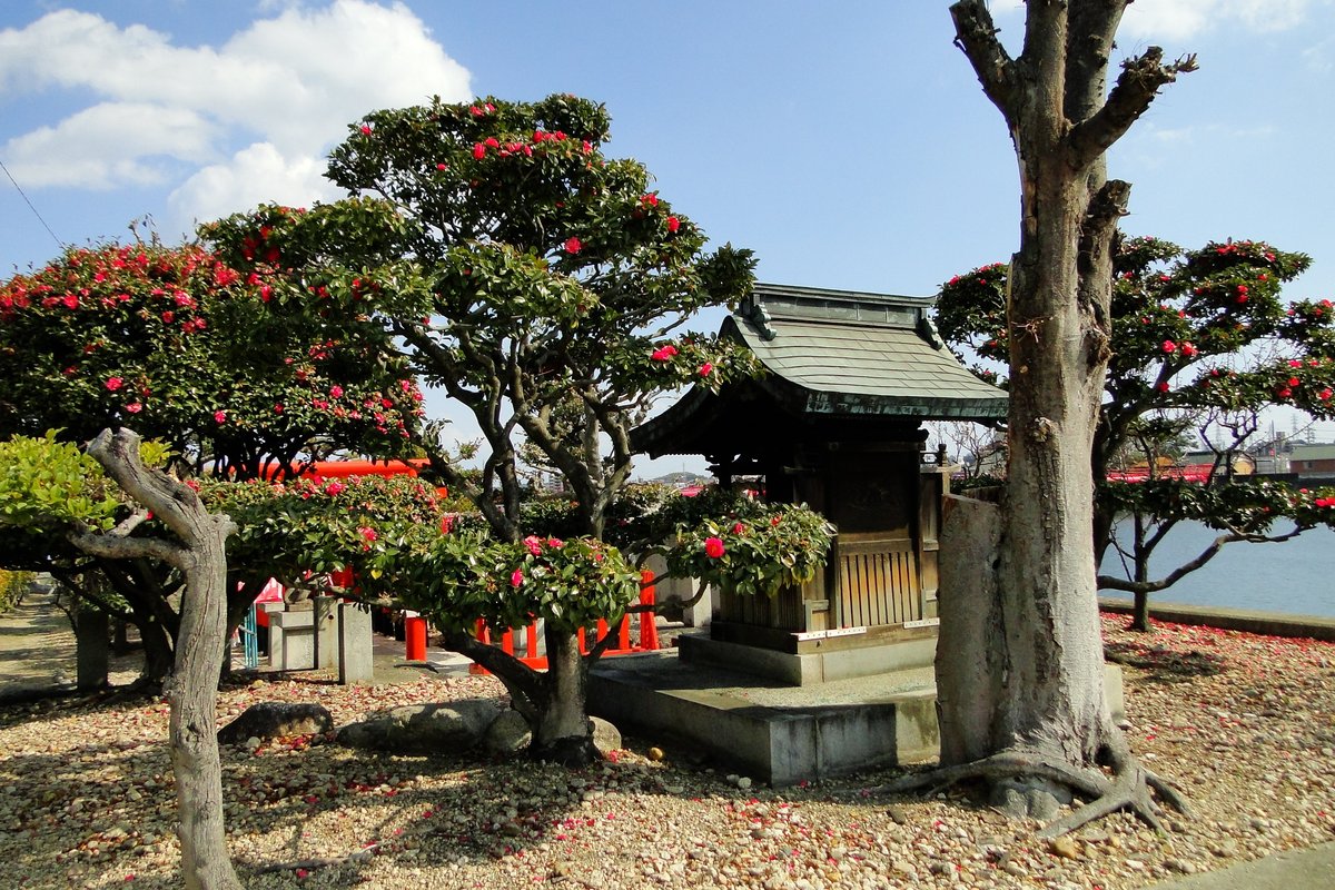 梅と鴨｜HRSD-note