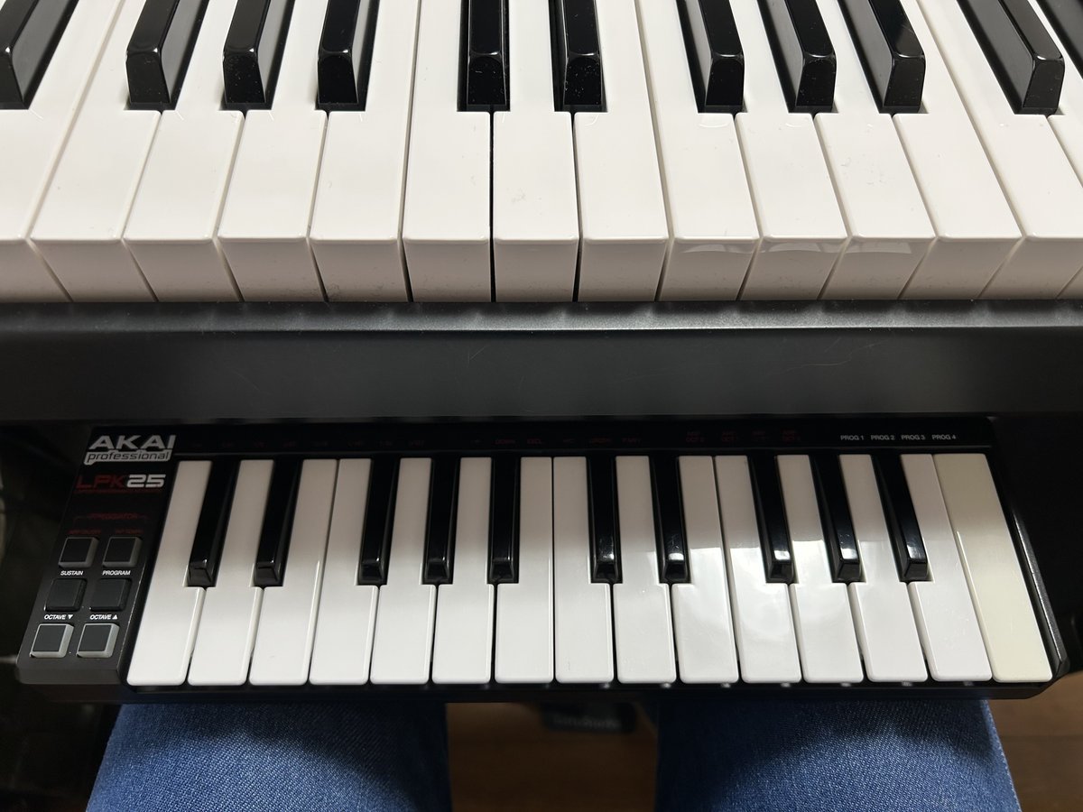 warp jam 「ヒカリゴケ」｜ワキマル・ジュンイチ（Junichi Wakimaru）