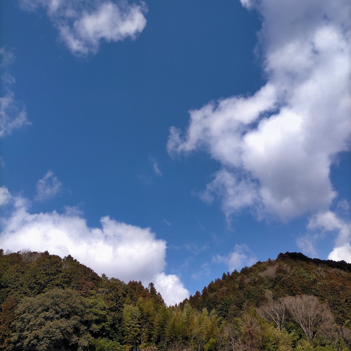 なぜ、RUUUNのCSをやっているのか。仕事が面白いなと思うとき。｜TATEITO