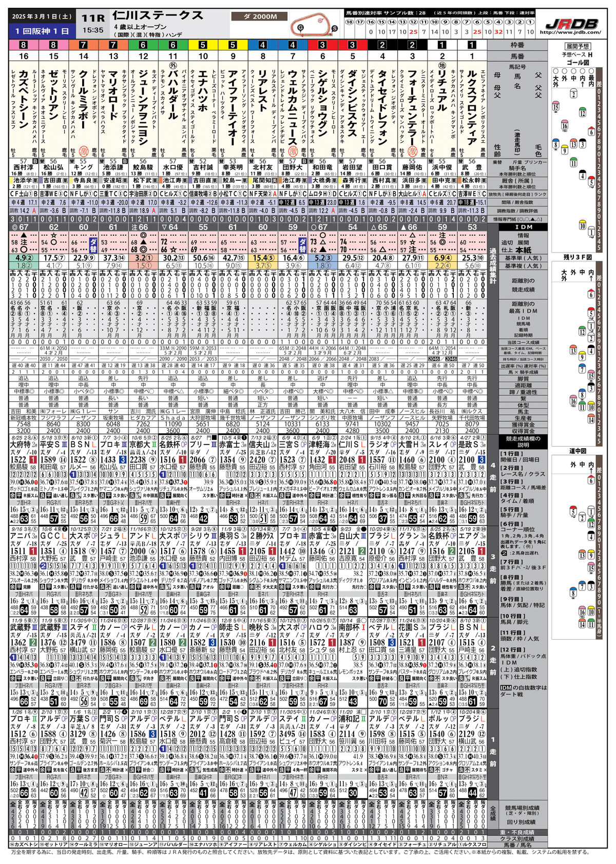 3/1（土）阪神11R 赤木の予想｜JRDB 競馬アラカルト