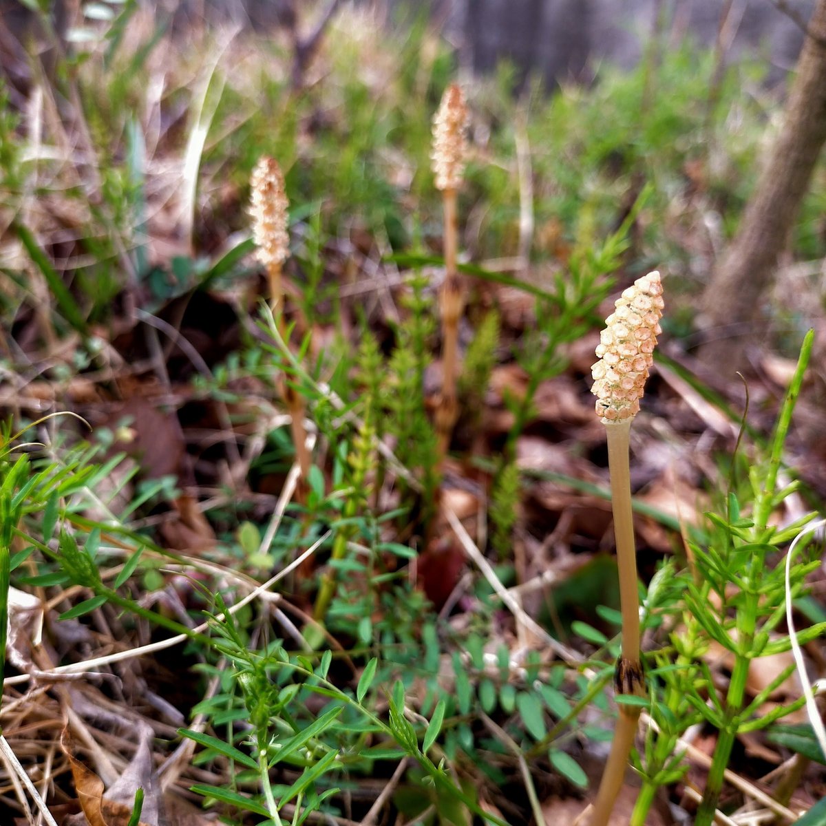 RUUUNを導入する前と導入後の組織の変化をお客さんに聞いてみた。｜TATEITO