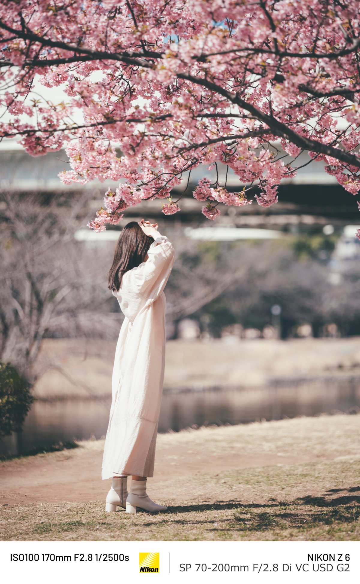 Sakura＆Tokyo｜𝓜𝟑