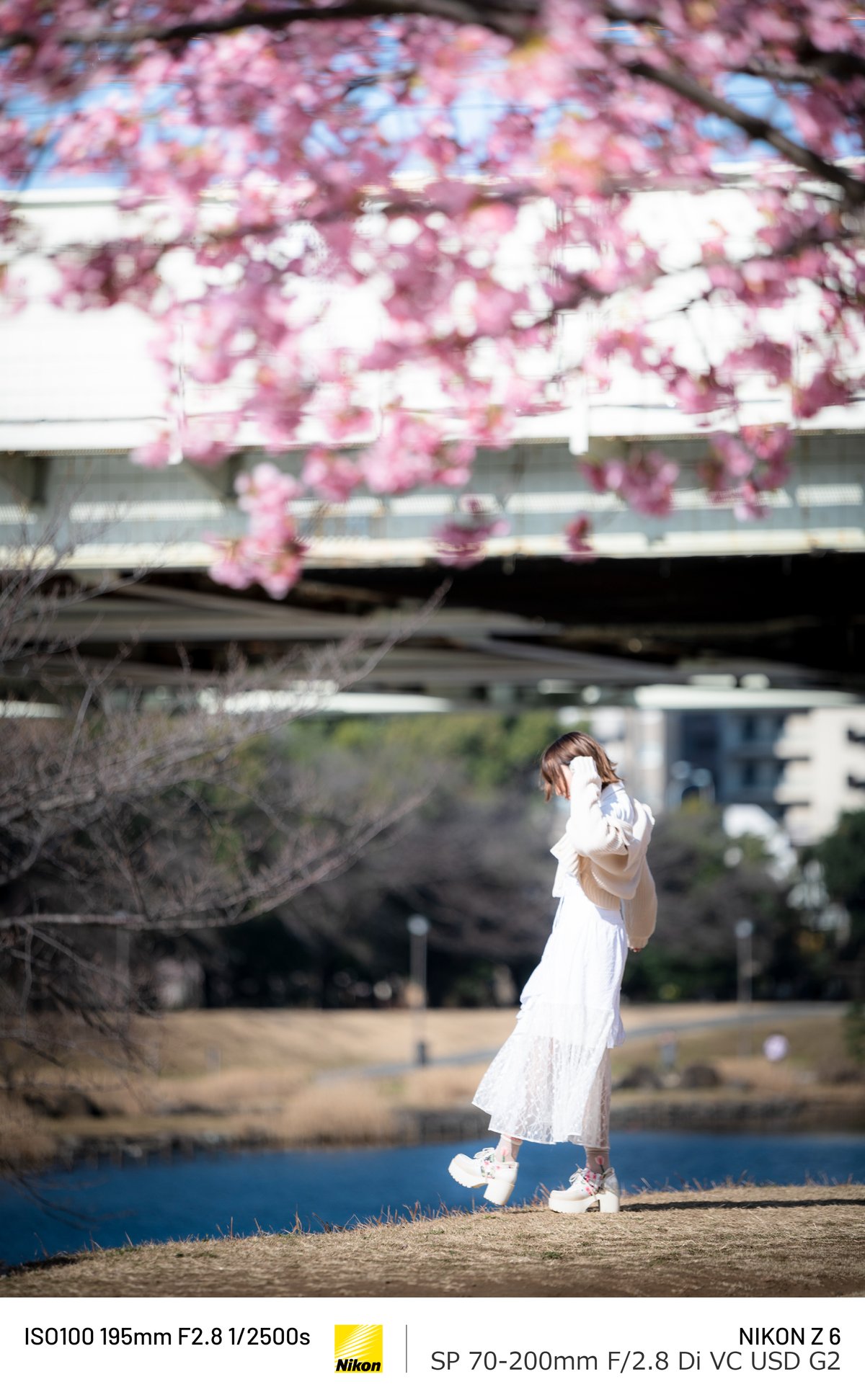 Sakura＆Tokyo｜𝓜𝟑