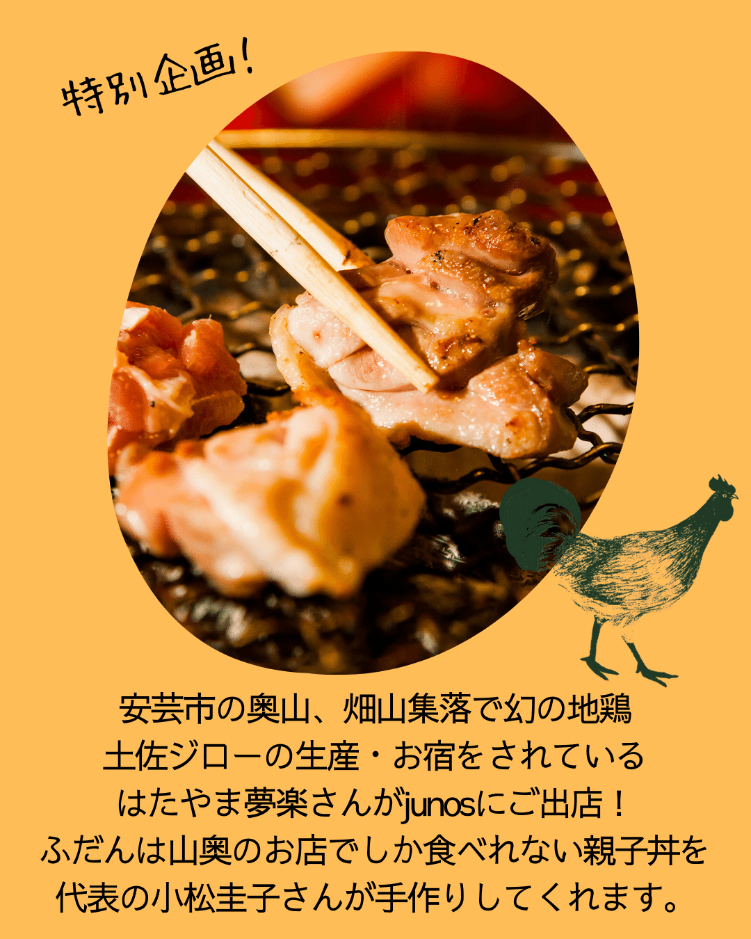 3月19日（水）土佐ジロー親子丼ランチ｜株式会社junos