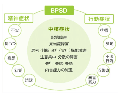 第60回理学療法士国家試験 午前31−35の解説｜Sixty_valleyのページ