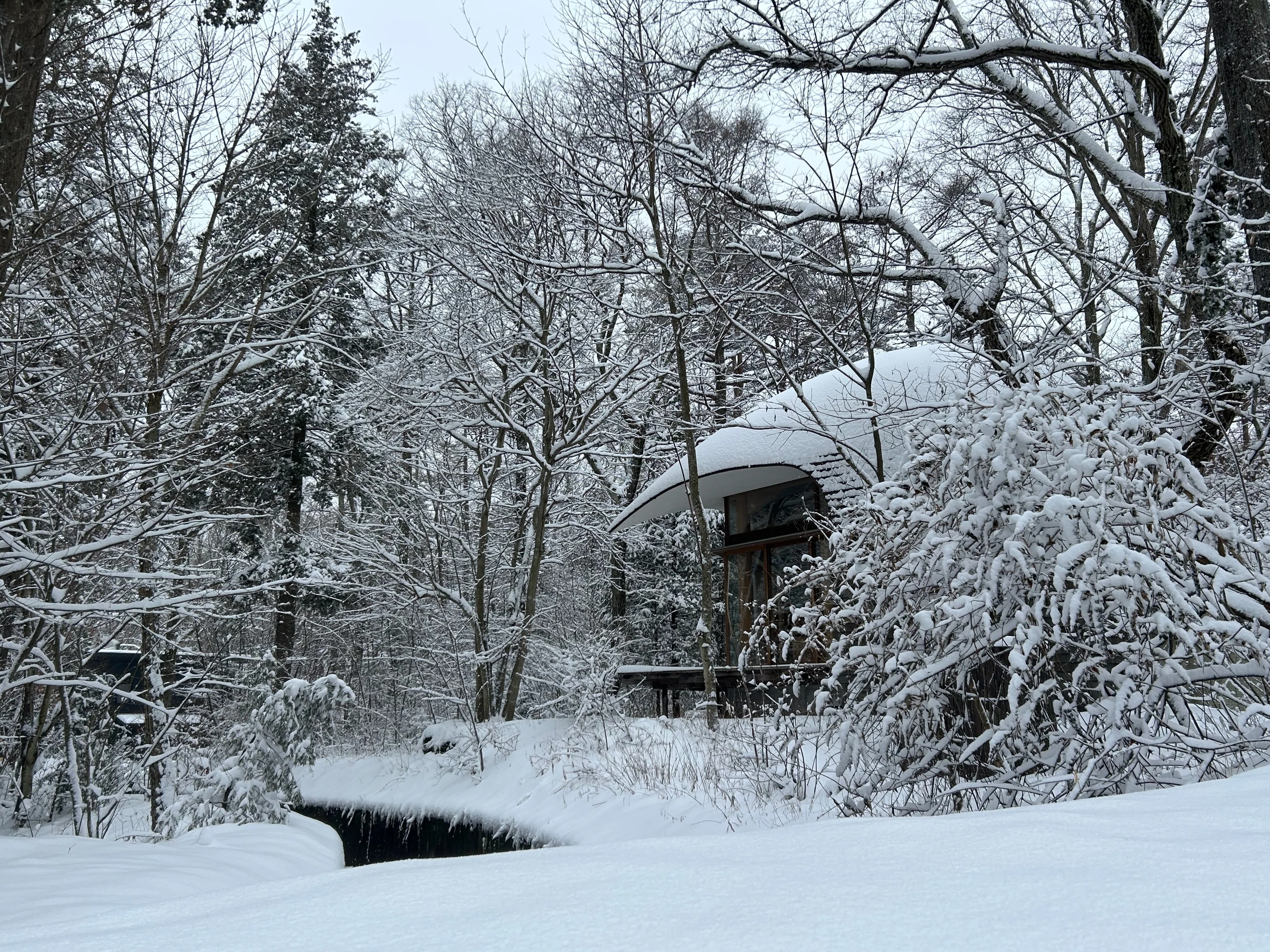 Shell House in snow 2025｜Tono Mirai