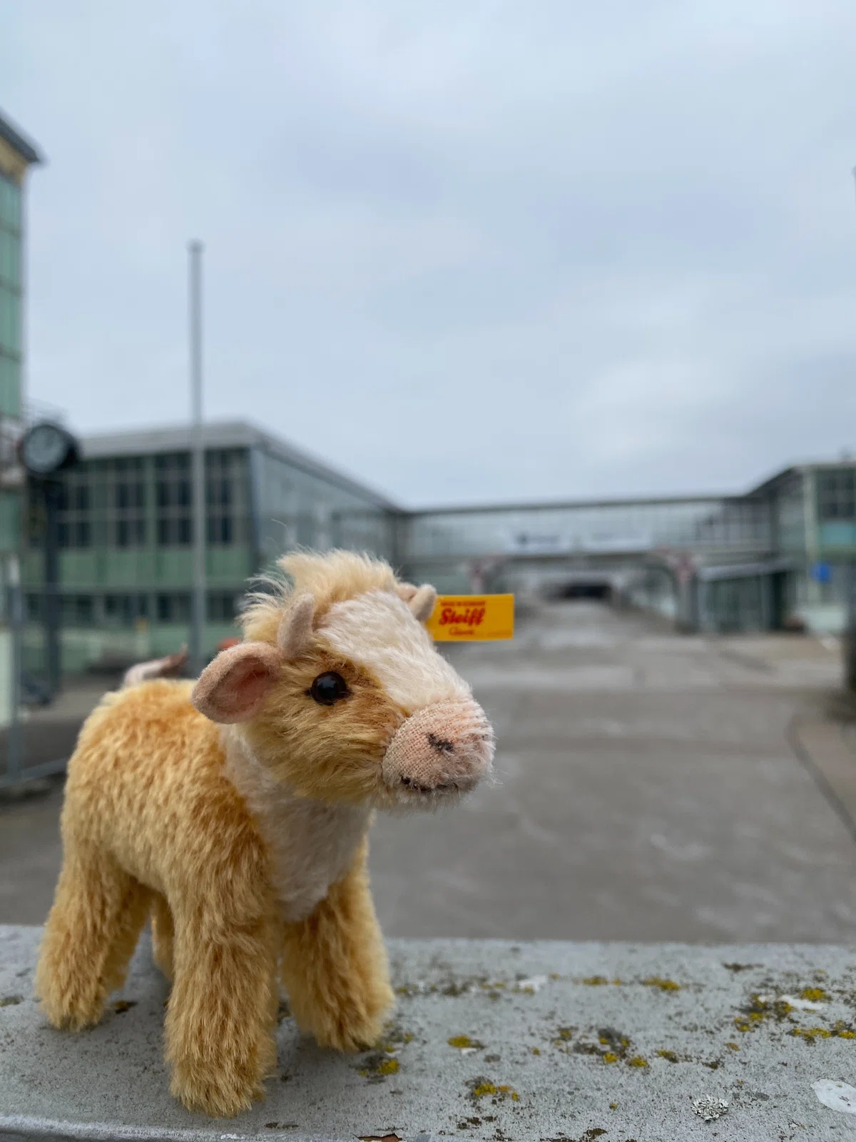 「テディベア」の生まれた地へ。 シュタイフ ミュージアム（Steiff Museum） / ギーンゲン（Giengen）・ドイツ④｜Lulu ...