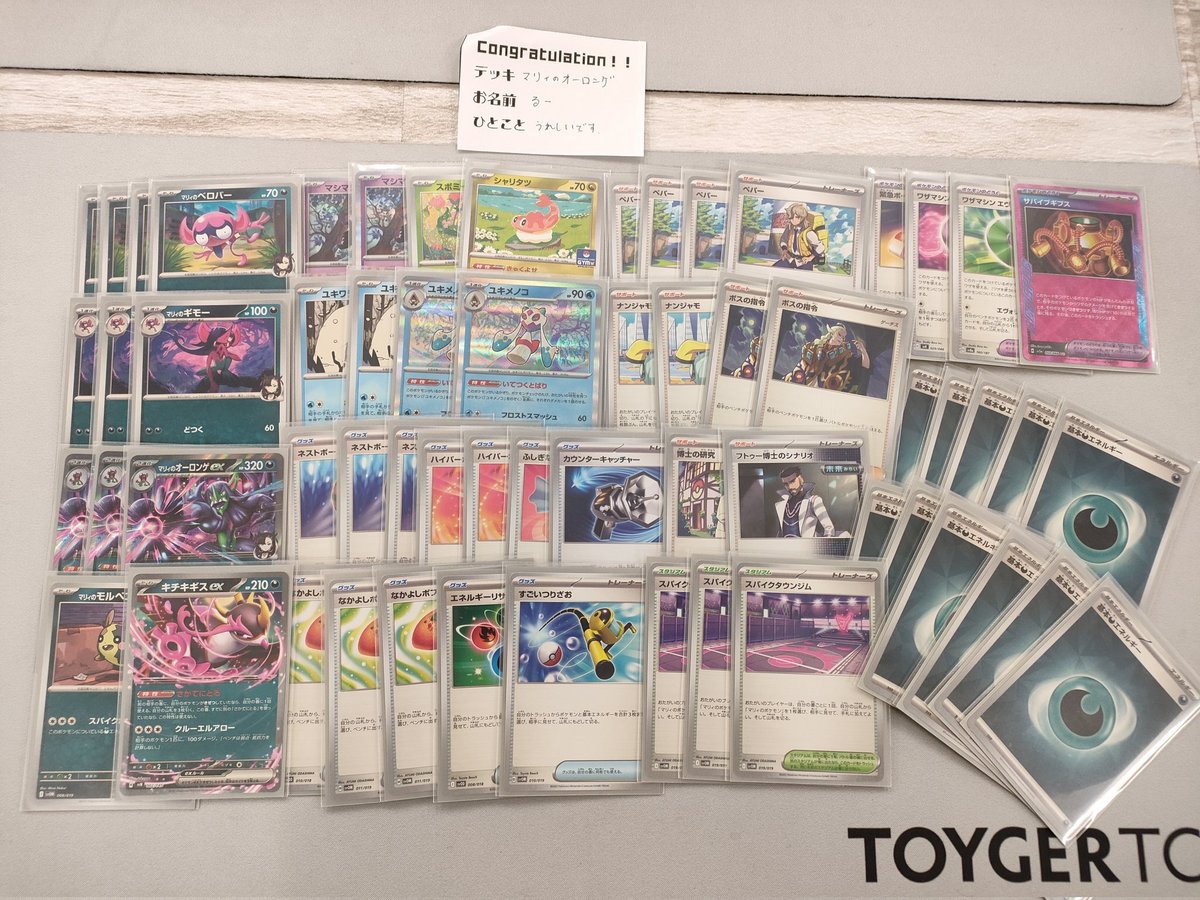 2025/3/3 ジムバトル開催結果｜TOYGER TCG