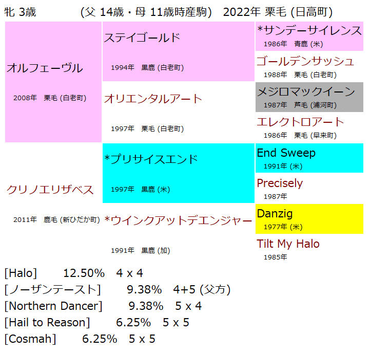 【AI分析】チューリップ賞・レース回顧（2025）｜VRS18🐴