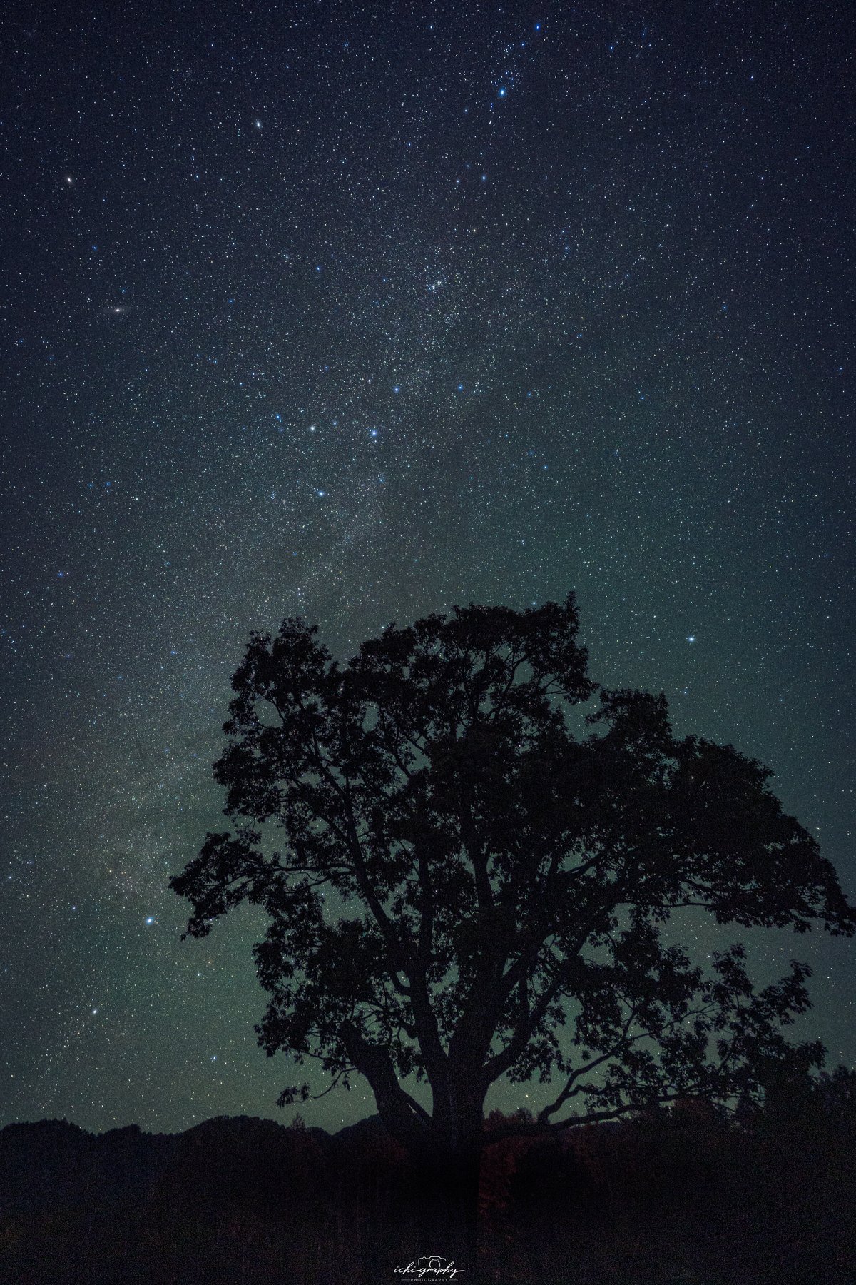 α7Cを5年間使った結果…良かった点と後悔した点｜ichi_graphy