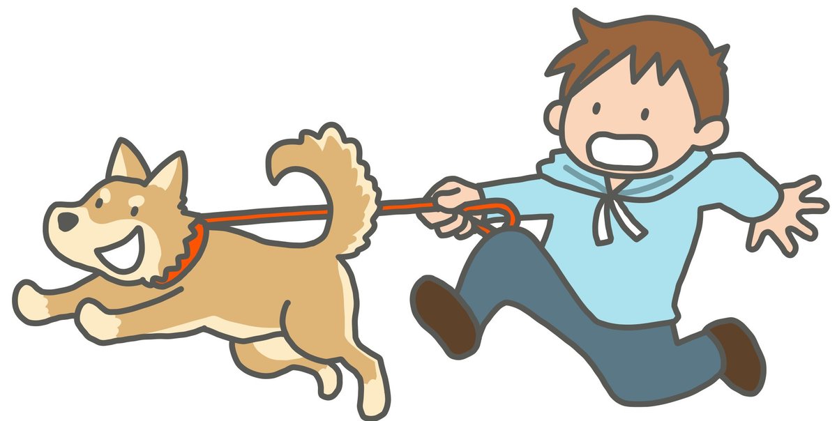 【ワンコ考】コロちゃんと「ワンコ」のいる暮し.｜korotyan