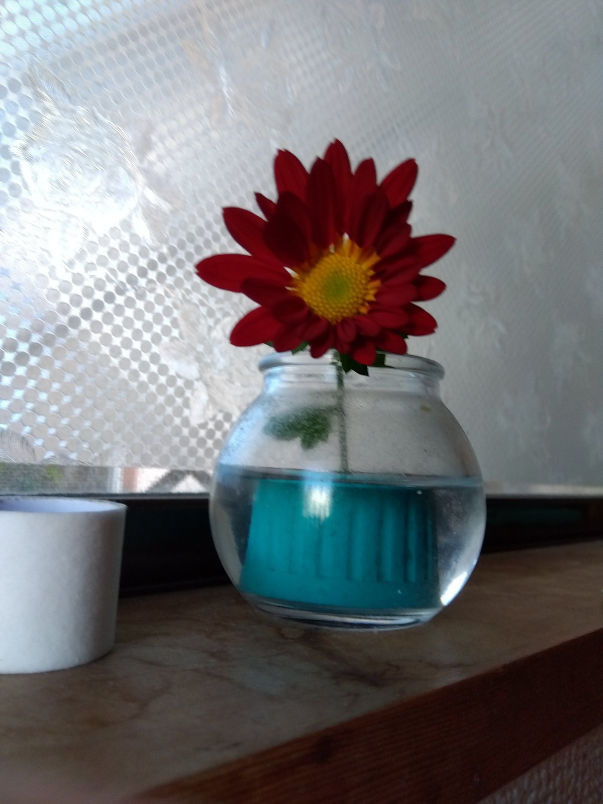 ひな祭り🌸｜KAO🍀(*^^)v