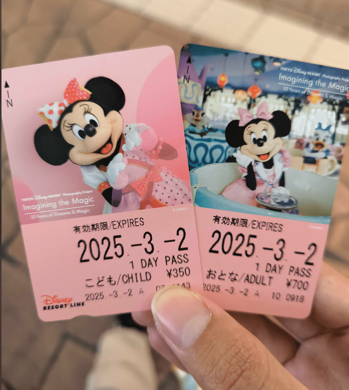 ミニーの日にTDL行った話。｜YSD.25