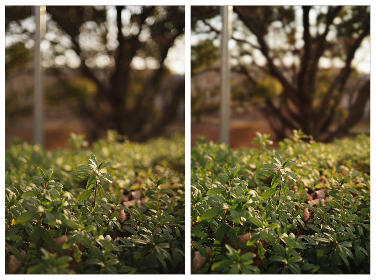 RF50mm F1.8 STM のBBL改造｜計画計画