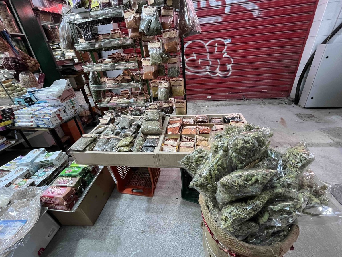 ギリシャ2回目：Day25 テッサロニキ、楽しめたよ｜Kaoru Miller