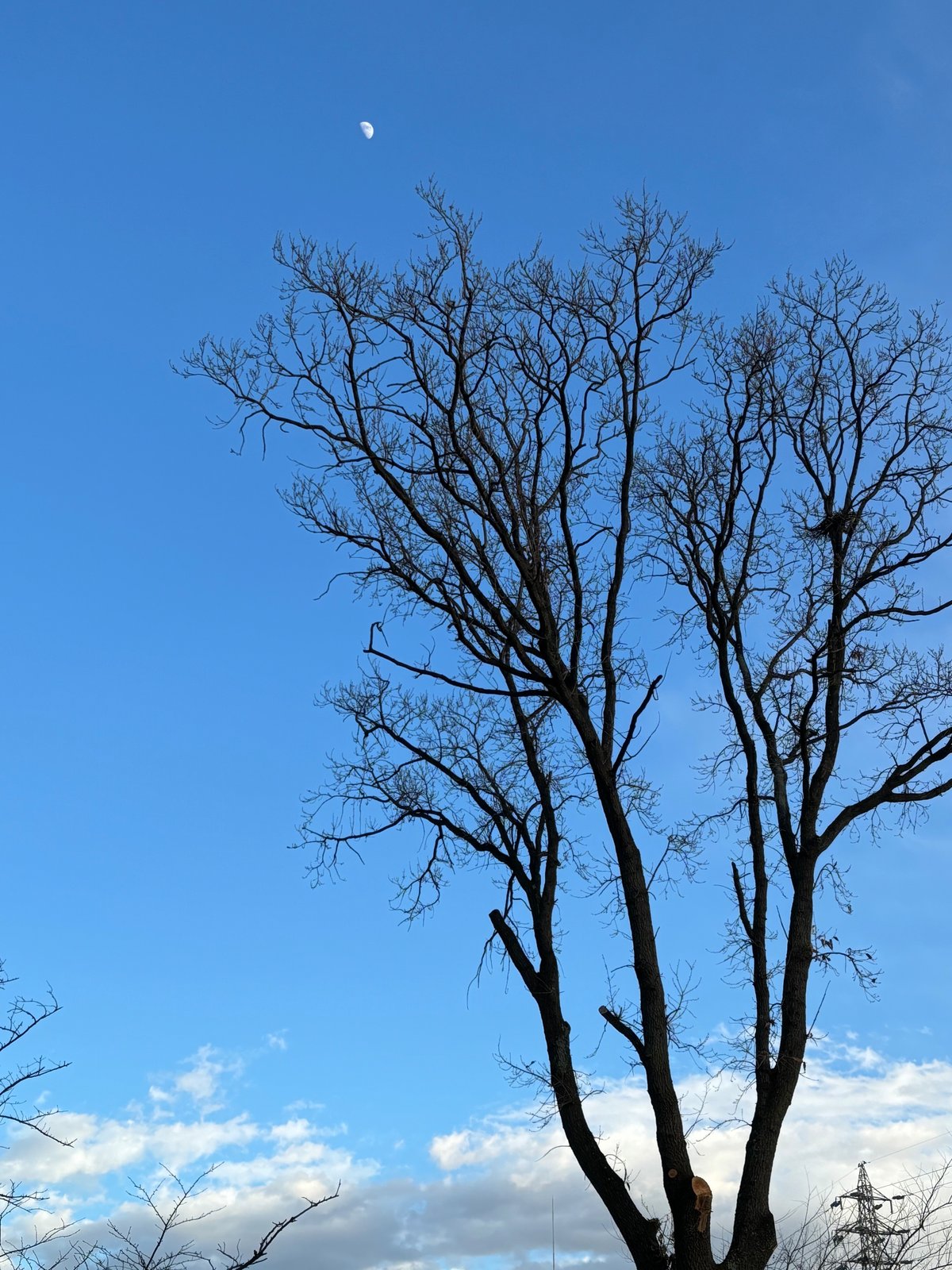 春を待つ｜どどいつ&写真｜rira｜おふとんマン5号・エリート