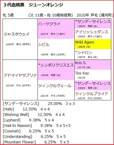 【2025 中山牝馬S（G3）】～予想篇｜Haya