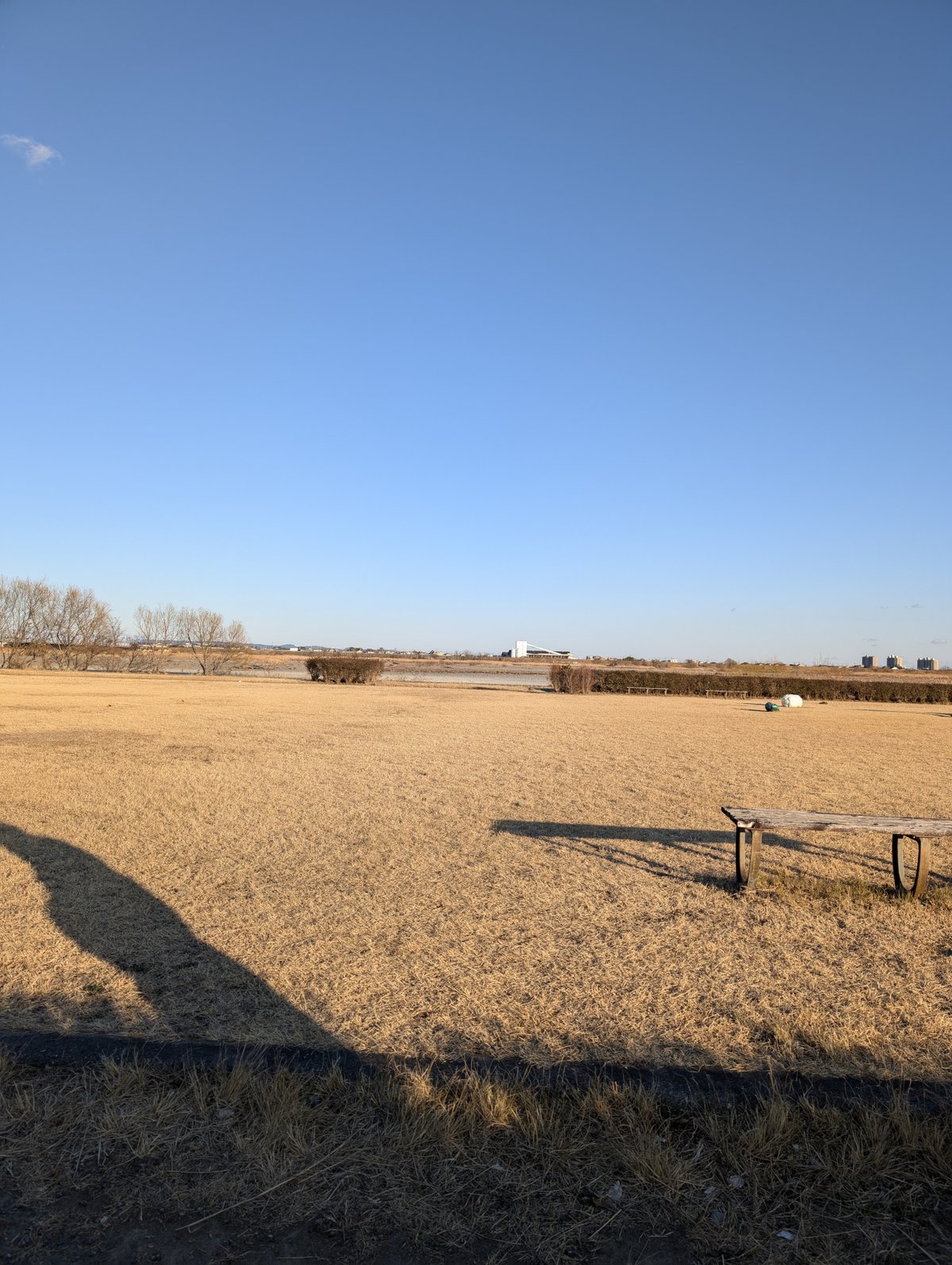 夕散歩遠征！｜Akihiko Oosugi