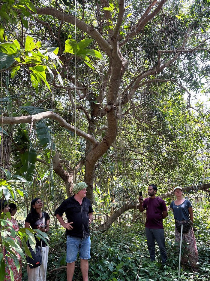 南インド渡航記（Auroville訪問①）｜mayumiyoga11