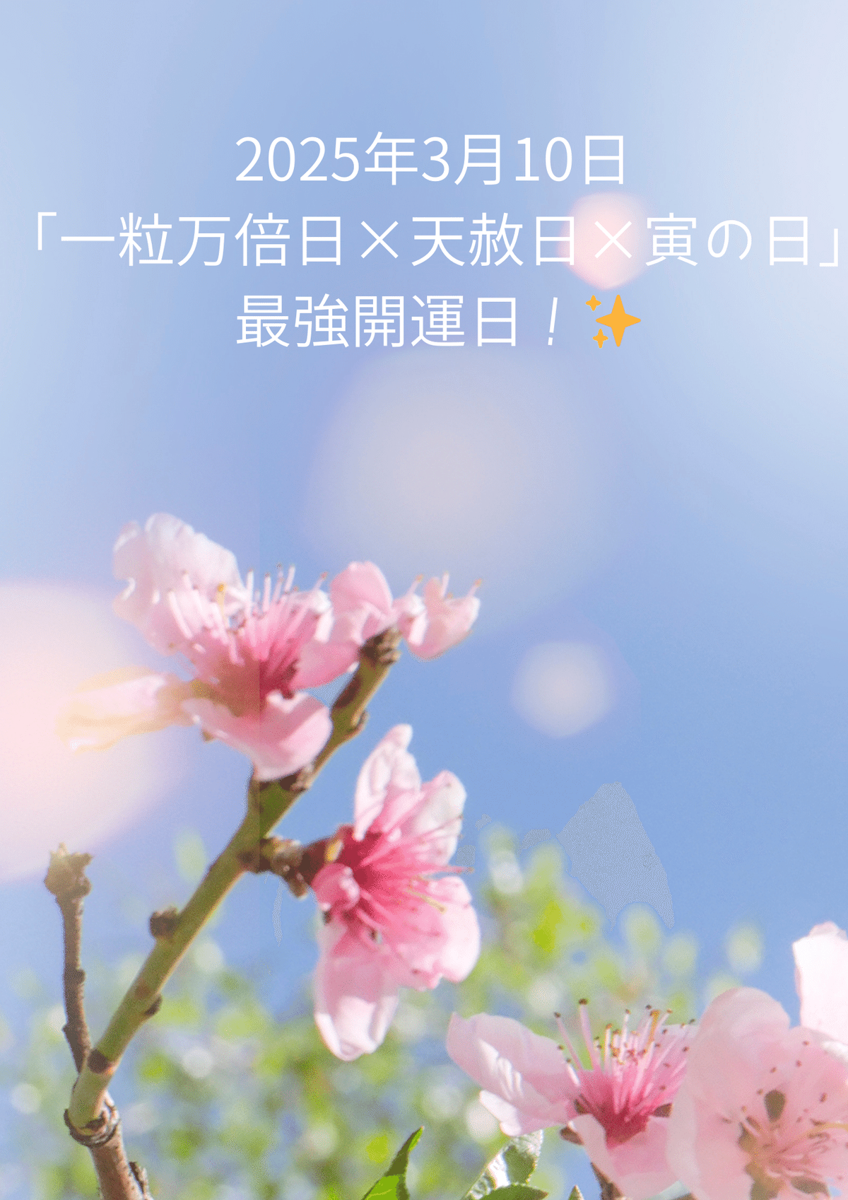 最強開運日ワクワクする ｜🌱𝕂𝔸ℤ𝕌𝕂𝕆🌱